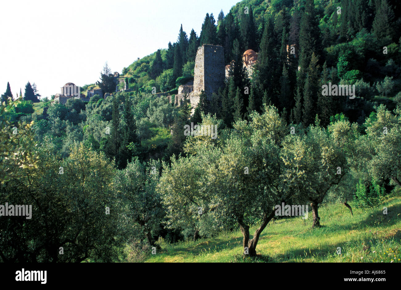 Byzantine church olive tree hi-res stock photography and images - Alamy