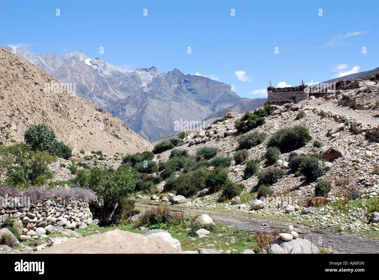 The snowy peaks of the high Himalayas are seen in the background as a ...