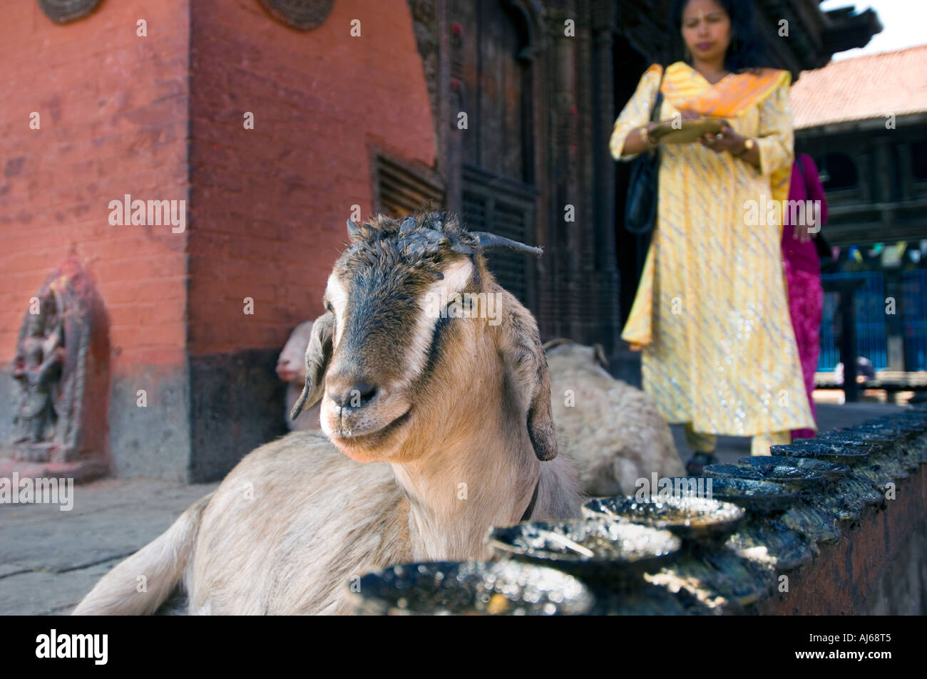 Goat worshipping hi-res stock photography and images - Alamy