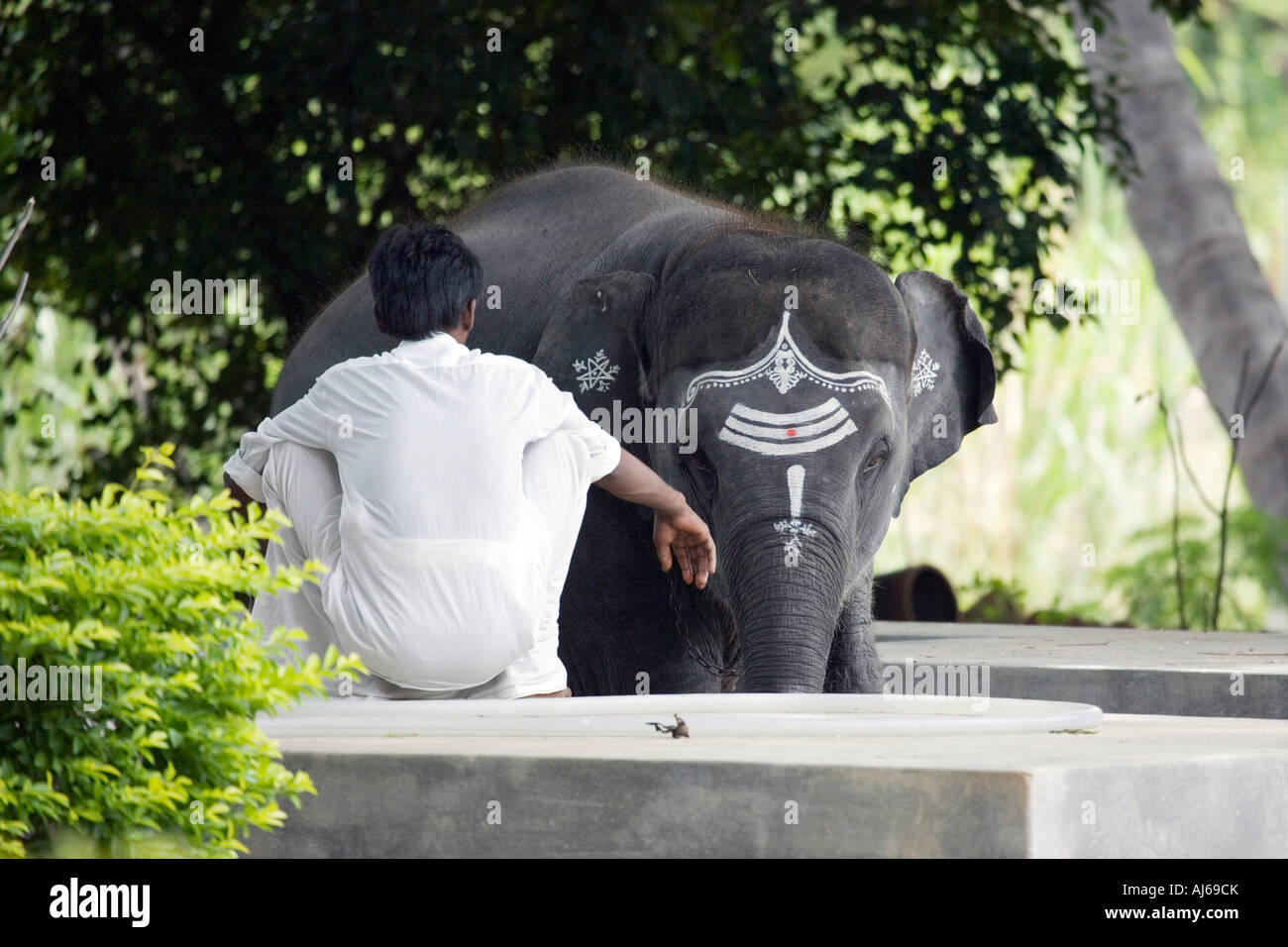 Sri sathya sai baba hi-res stock photography and images - Alamy