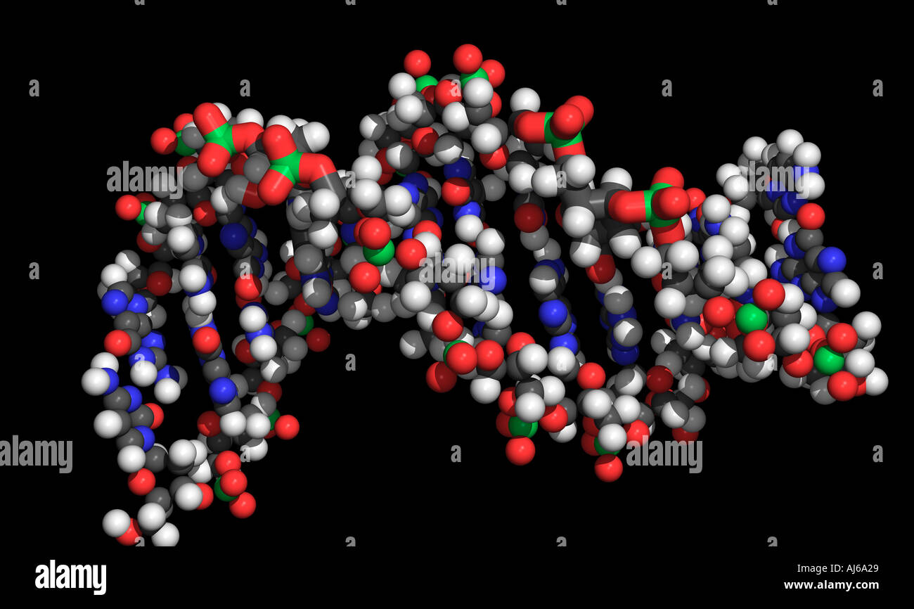 Watson and crick with their dna model hi-res stock photography and ...