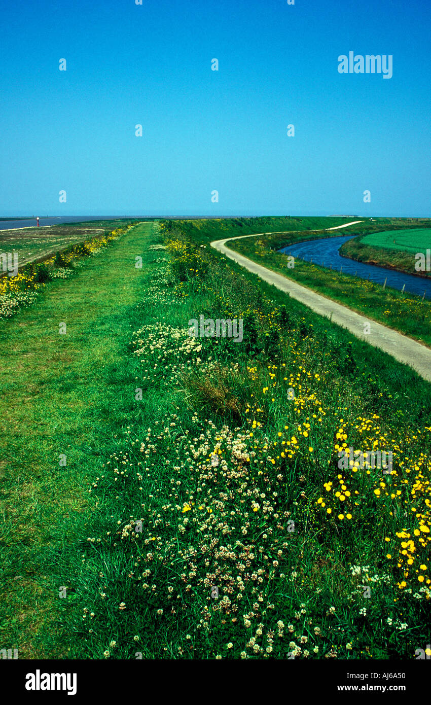 Peter Scott Walk beside the Wash Lincolnshire England Stock Photo - Alamy
