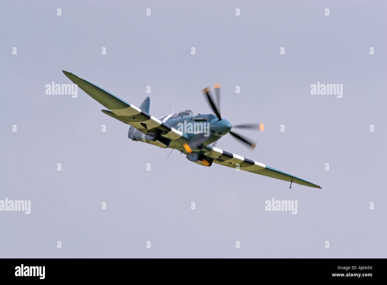 Griffon engined spitfire contra rotating propellers High Resolution ...