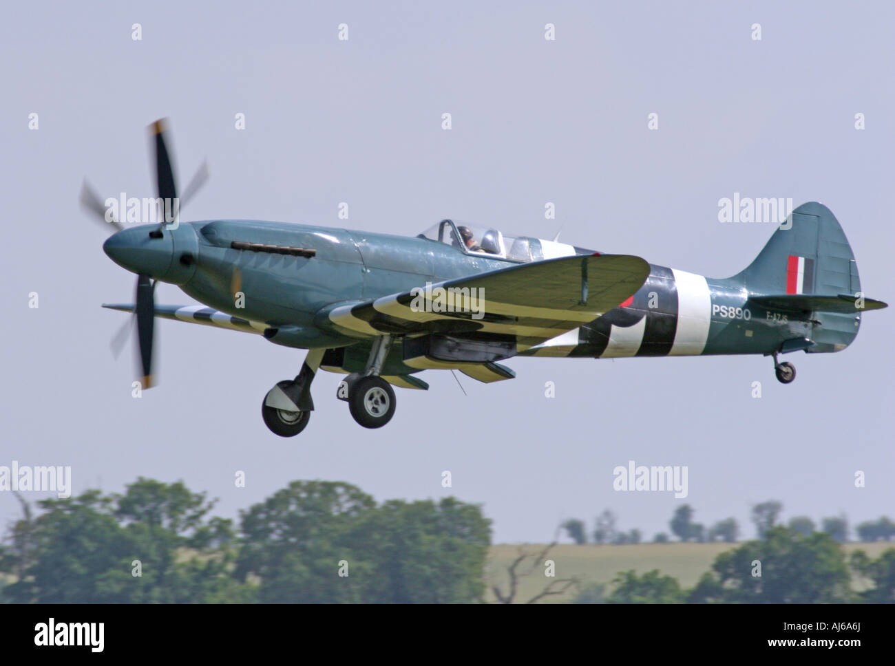 Griffon engined Spitfire with Contra-rotating propellers is to take off ...