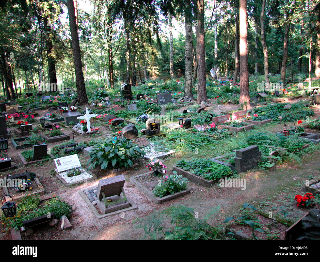 Animal Cemetery in Helsinki Stock Photo - Alamy
