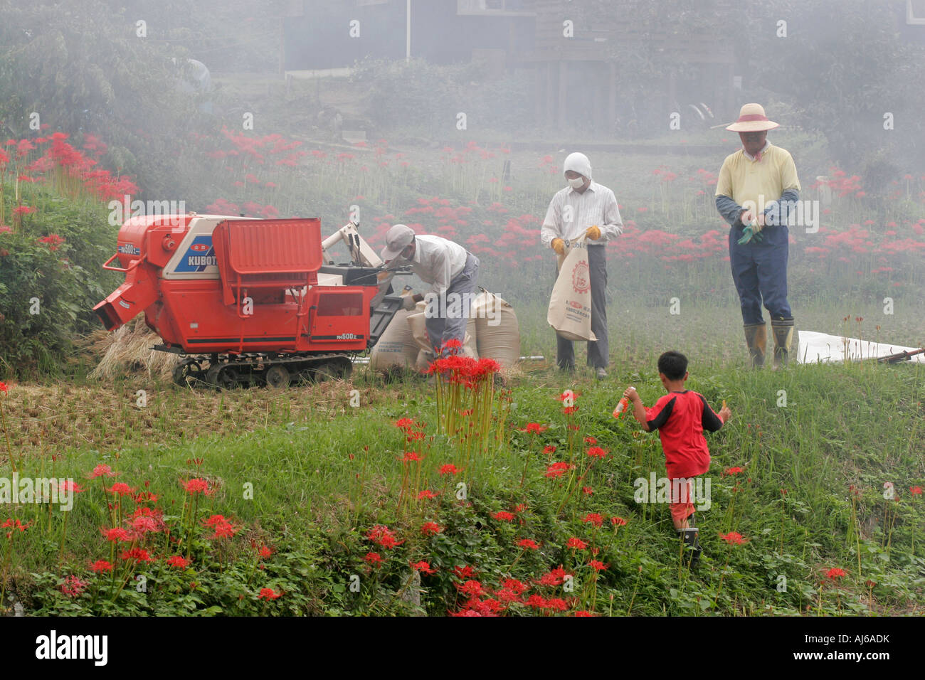 Japan farming hi-res stock photography and images - Alamy