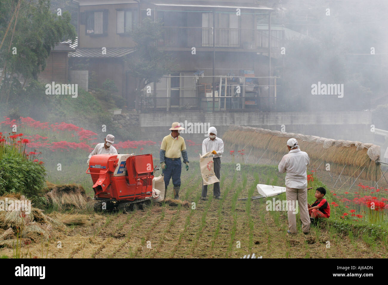Japan farming hi-res stock photography and images - Alamy
