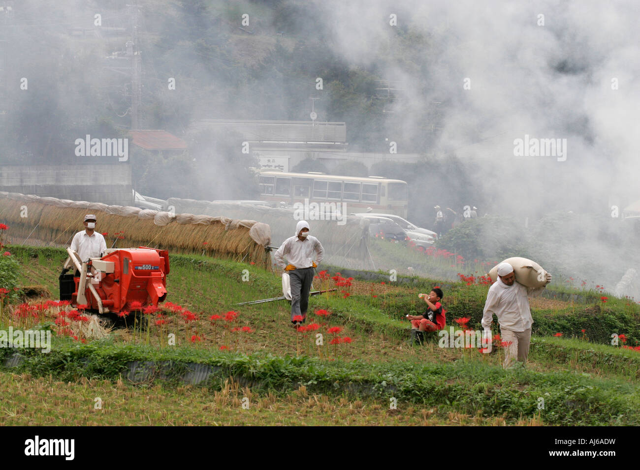 Japan farming hi-res stock photography and images - Alamy