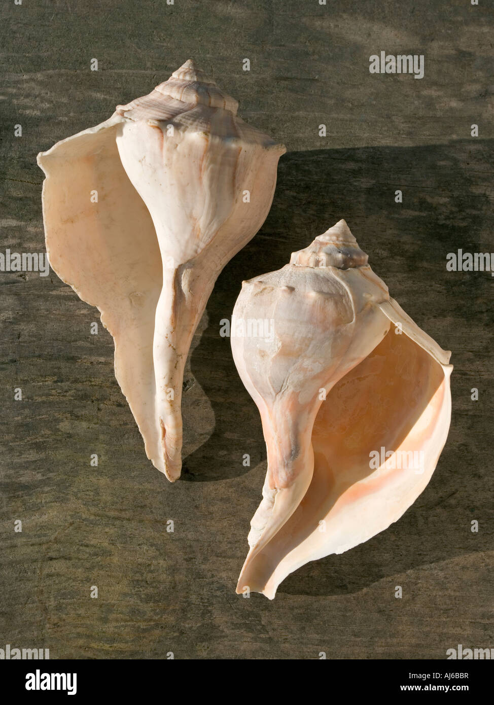 Counterclock High Resolution Stock Photography and Images - Alamy