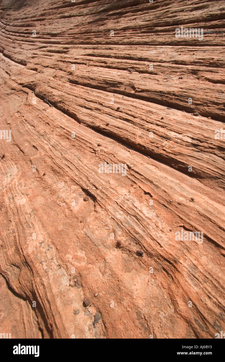 Sedimentary sandstone detail at Zion National Park Utah USA Stock Photo ...