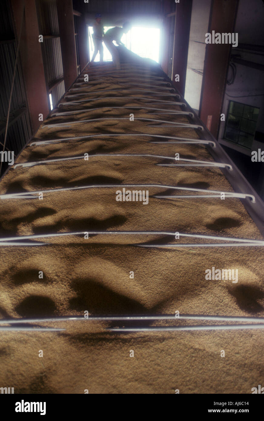 Rice trailer hi-res stock photography and images - Alamy