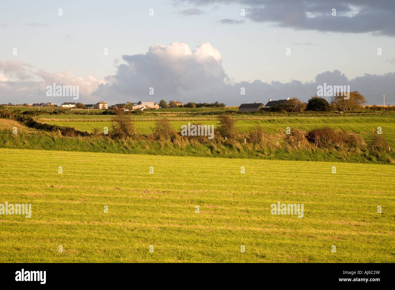 Stock photo of a lush green Irish field Shot October 2007 Stock Photo ...