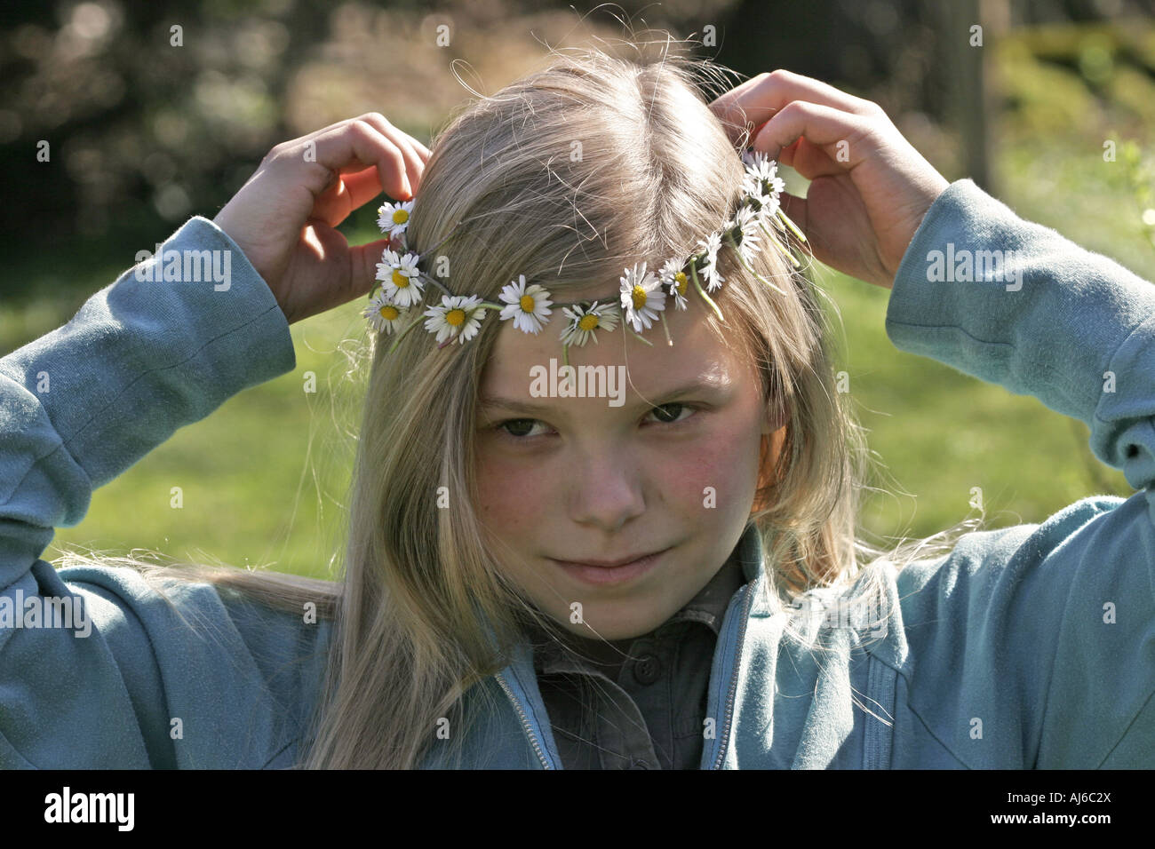 common daisy, lawn daisy, English daisy (Bellis perennis), young girl ...