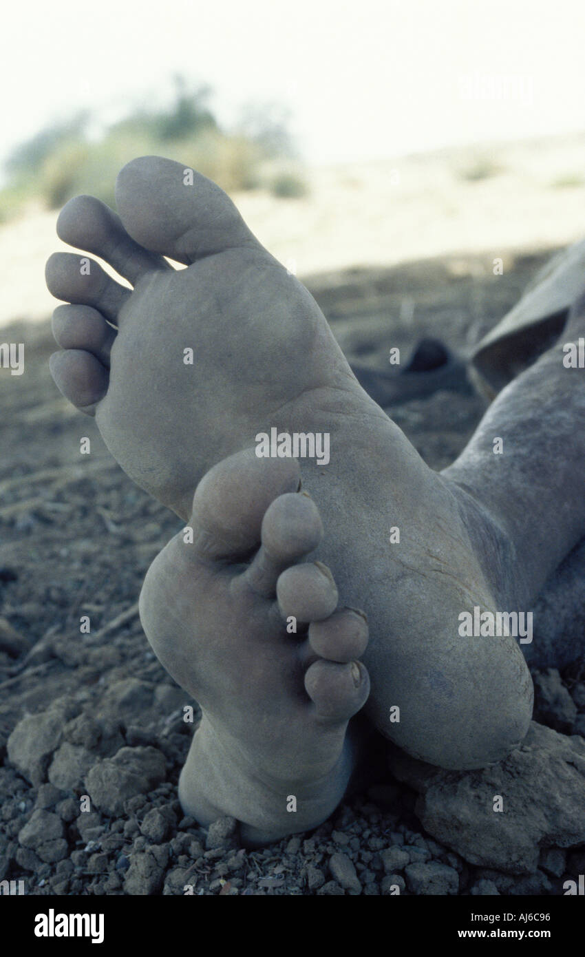 The hard dusty soles of a labourers feet Thar Desert Jaisalmer ...