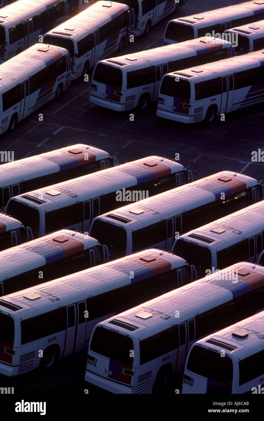 Aerial view of Metro buses Houston Texas Stock Photo - Alamy