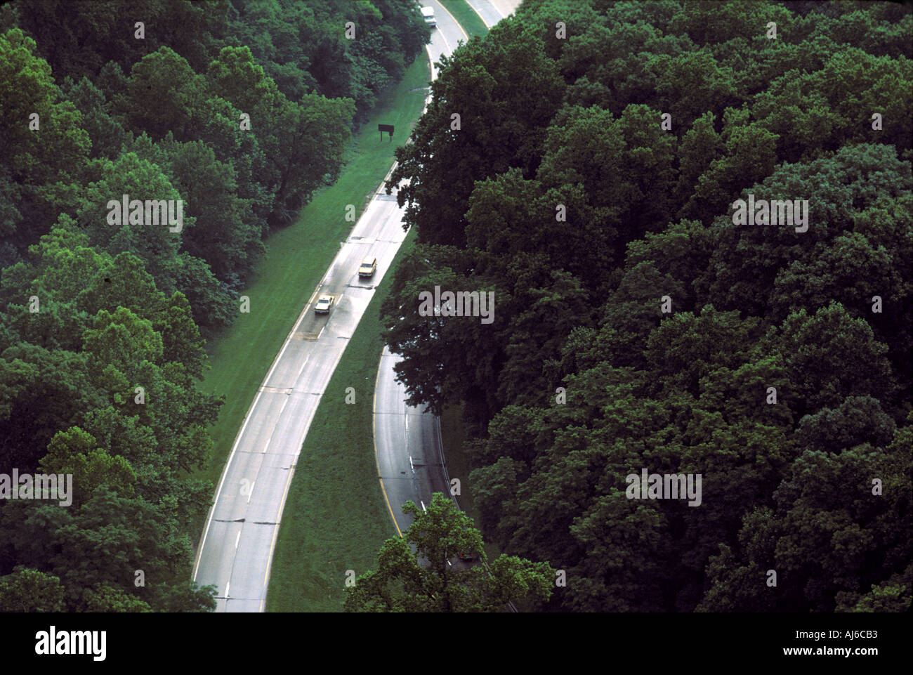 Cars on road surrounded by trees Stock Photo - Alamy