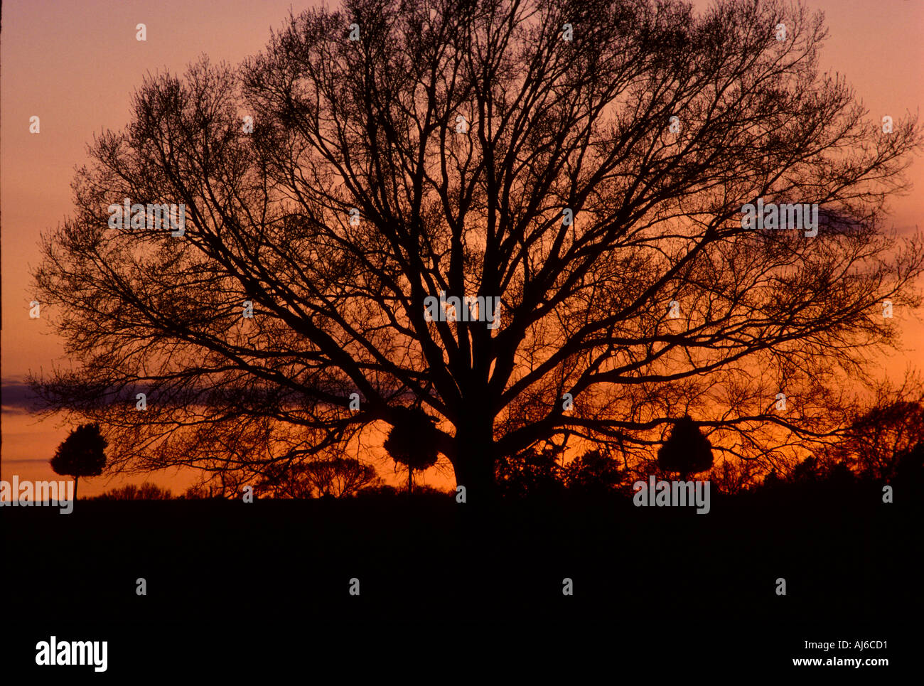 Roundtop hi-res stock photography and images - Alamy