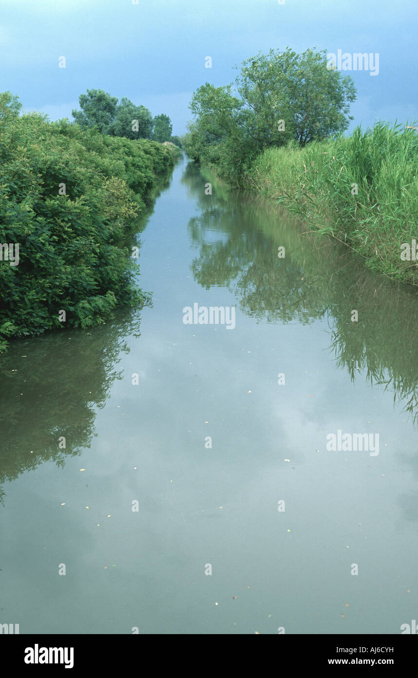 Kurische nehrung hi-res stock photography and images - Alamy