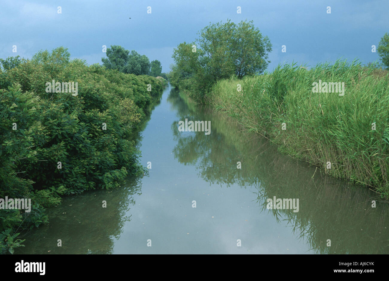 Kurische nehrung hi-res stock photography and images - Alamy