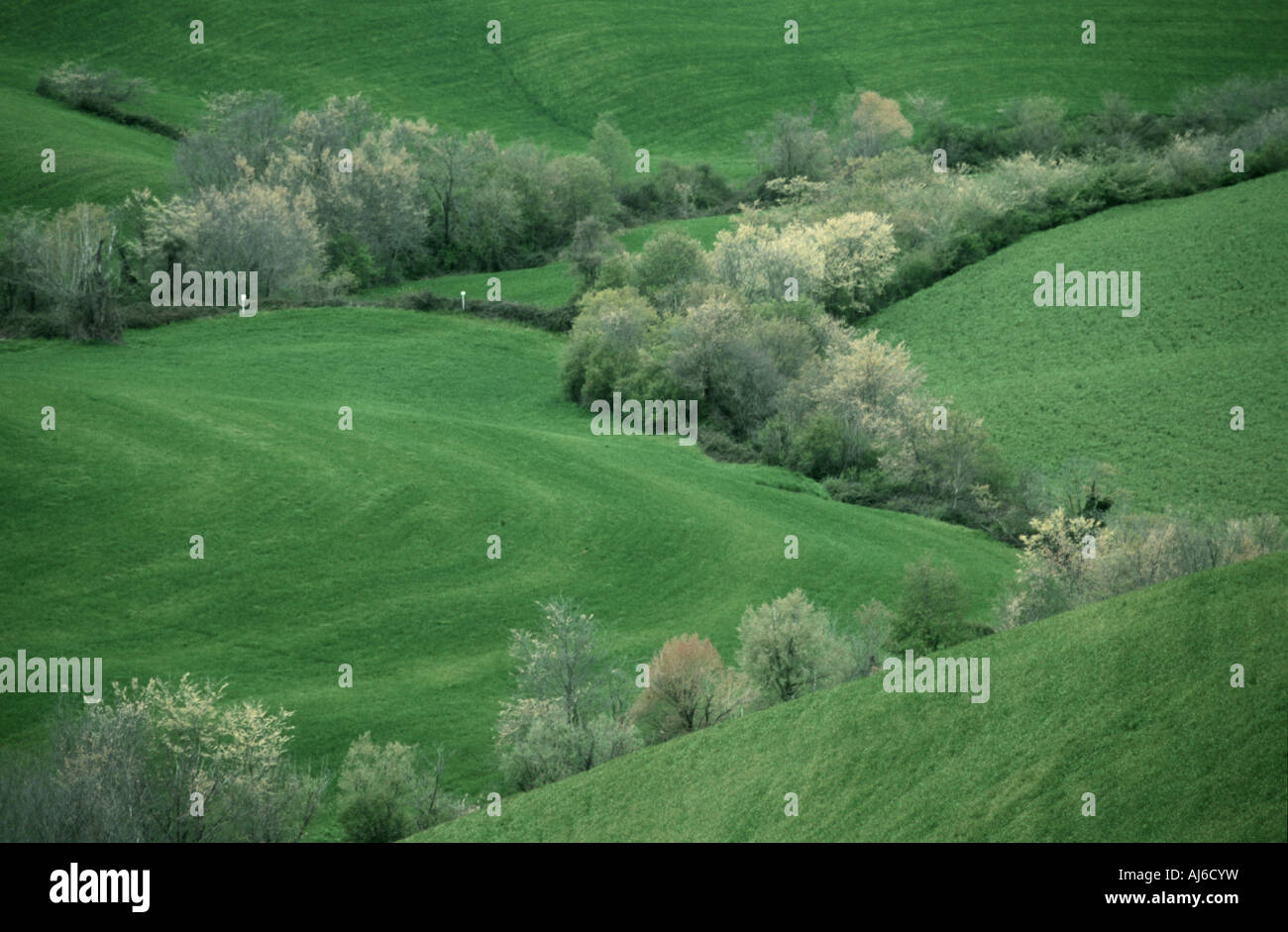 Tuscany m henning hi-res stock photography and images - Alamy