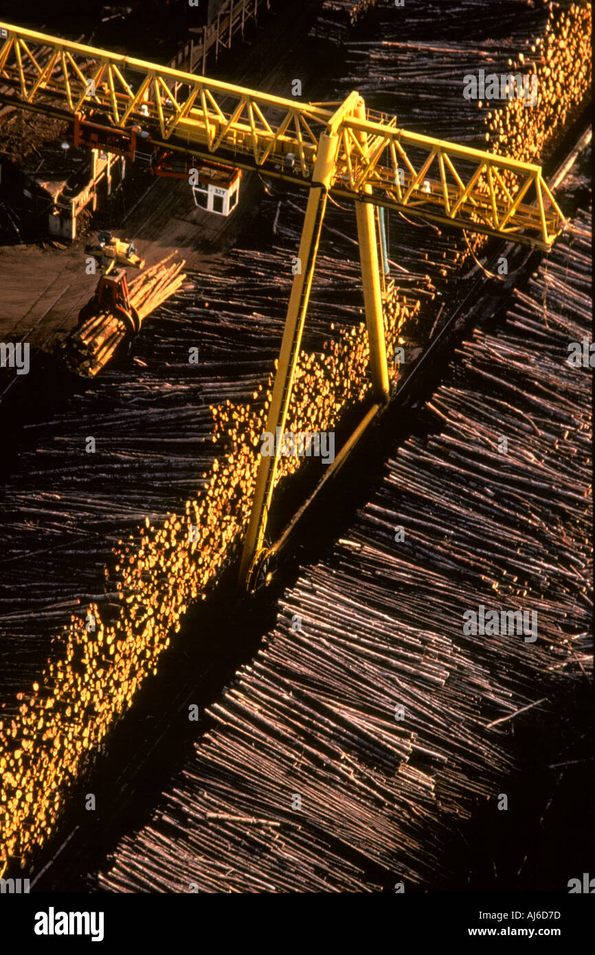 East Texas wood processing plant Stock Photo - Alamy