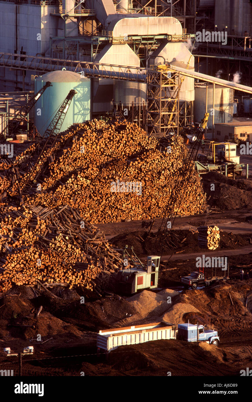 Wood processing plant near Houston Texas Stock Photo - Alamy