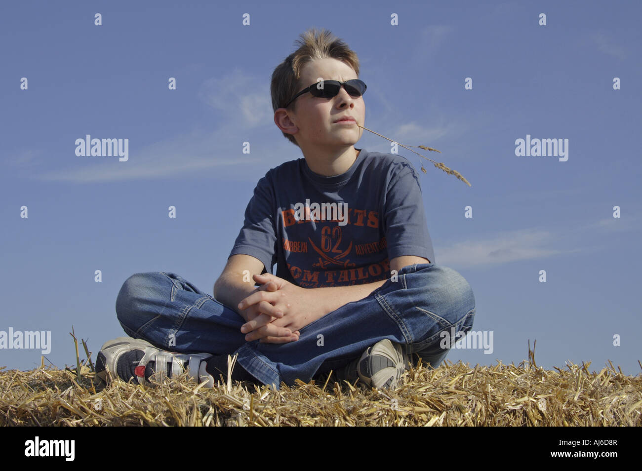 country boy on straw bale with straw in his mouth, Germany Stock Photo ...