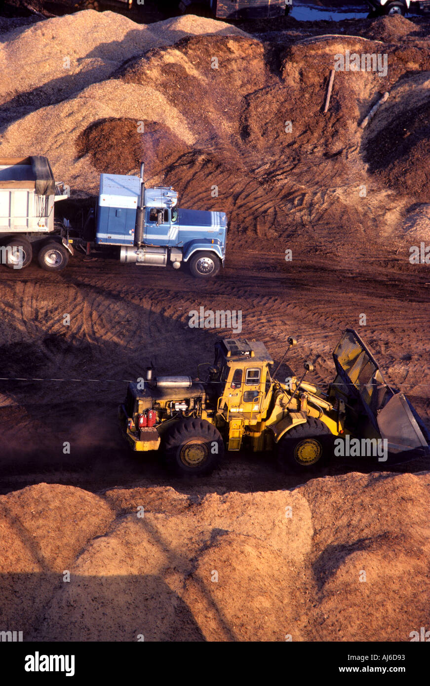 Front loader and truck at wood processing plant near Houston Texas ...