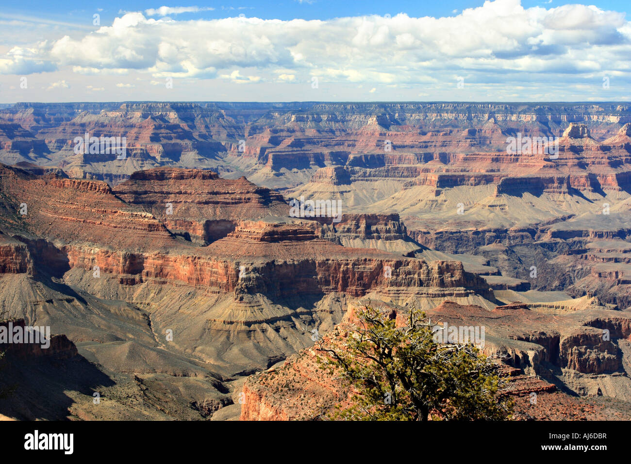 Grand Canyon, view from Grandview Point to Walhalla Plateau, USA ...