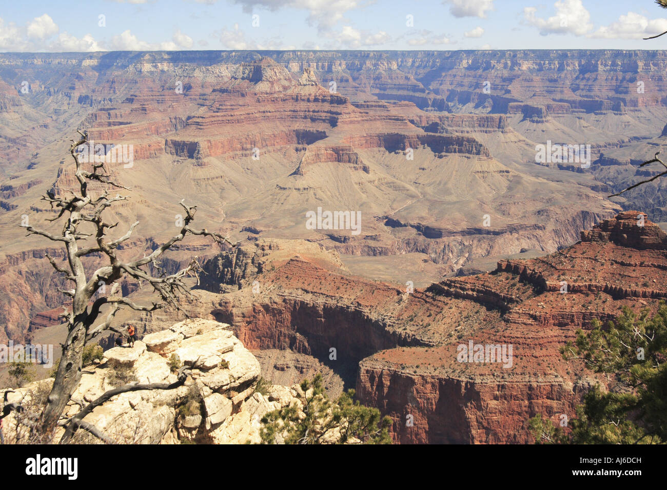 Grand Canyon, view from Grandview Point, USA, Arizona, Grand Canyon NP ...
