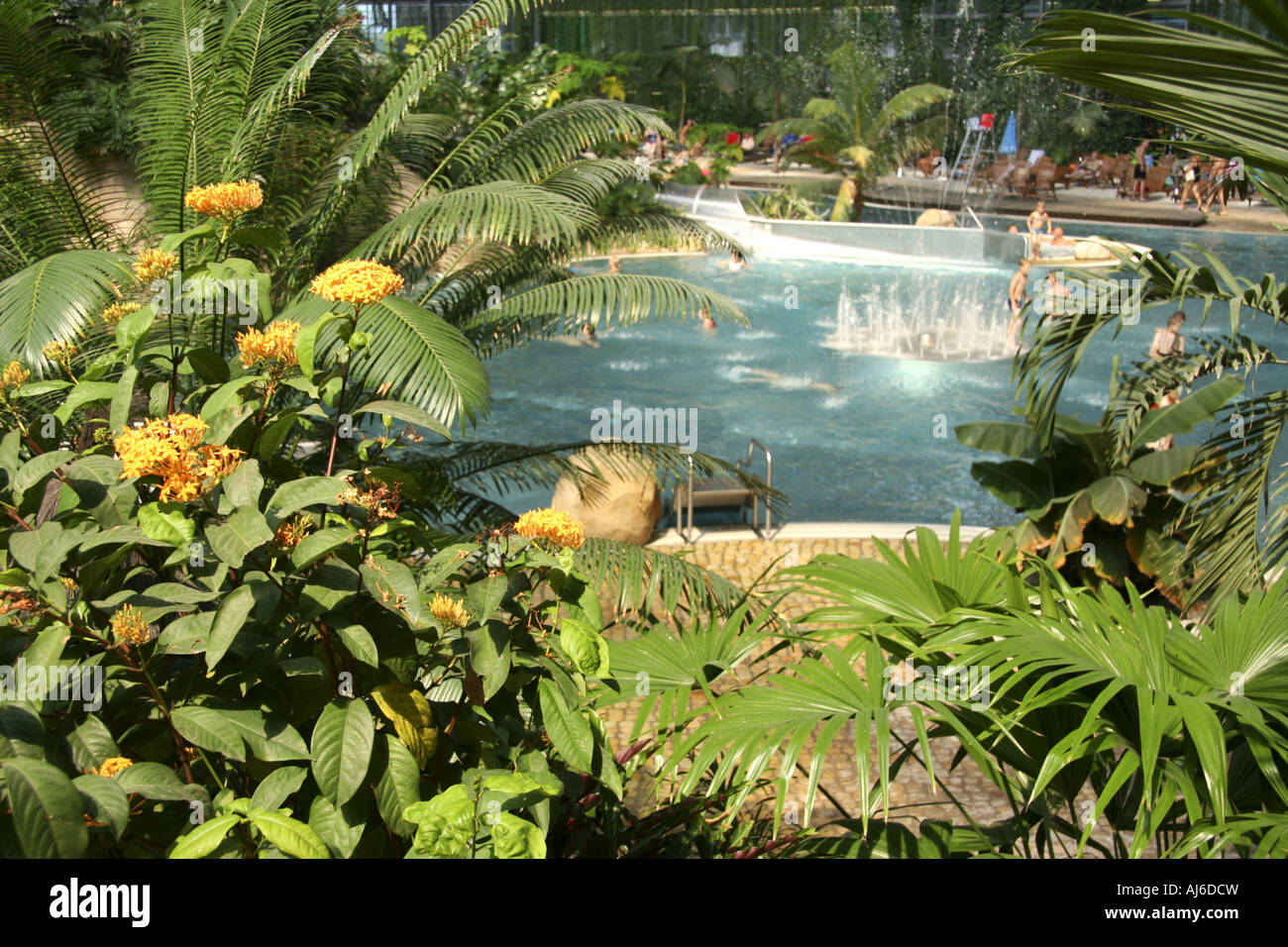 Bathing in a tropical swimming pool hi-res stock photography and images ...