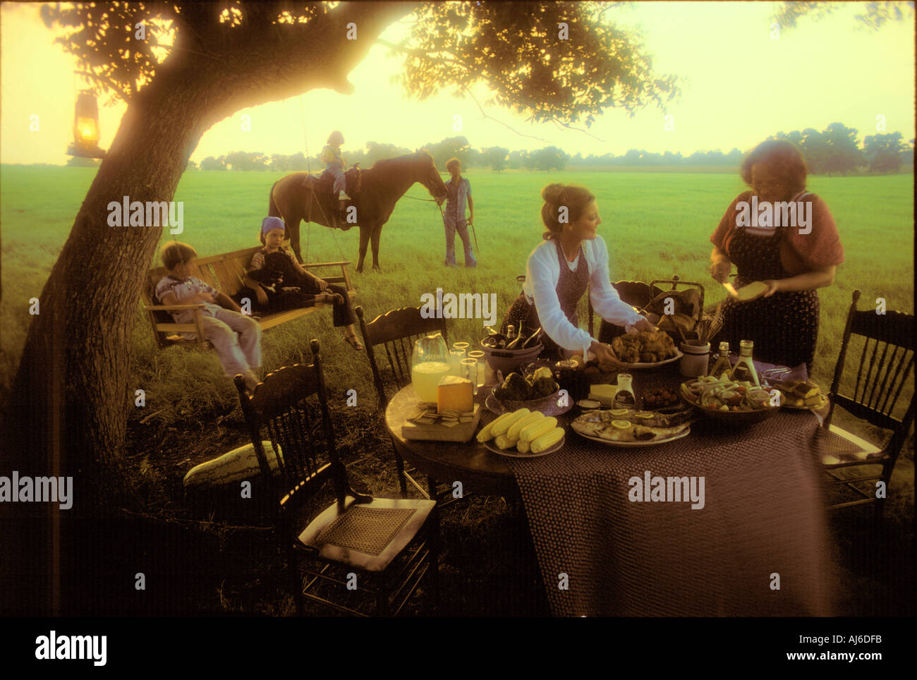 Country picnic under tree in rural Texas with horse and dog Stock Photo - Alamy