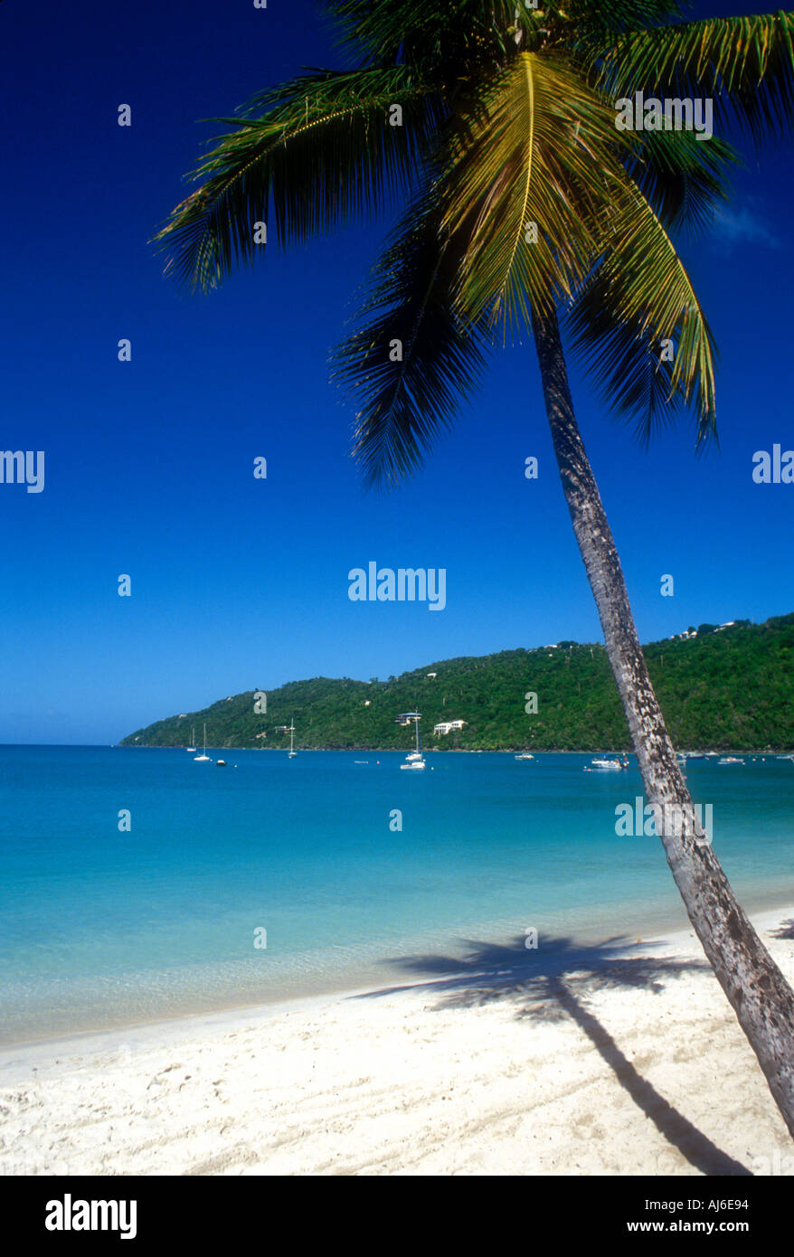 Thomas bay hi-res stock photography and images - Alamy