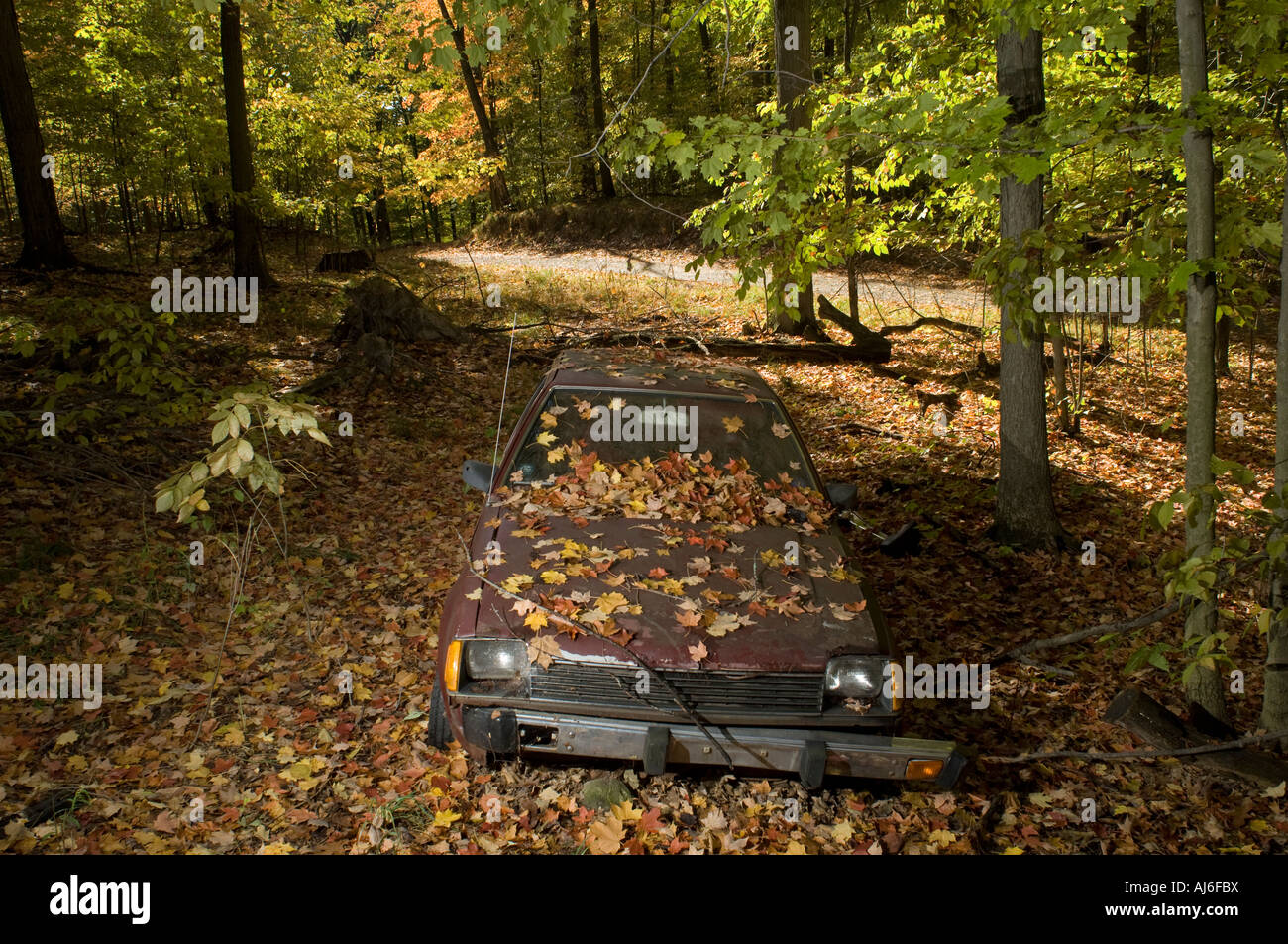 Any old junk hi-res stock photography and images - Alamy