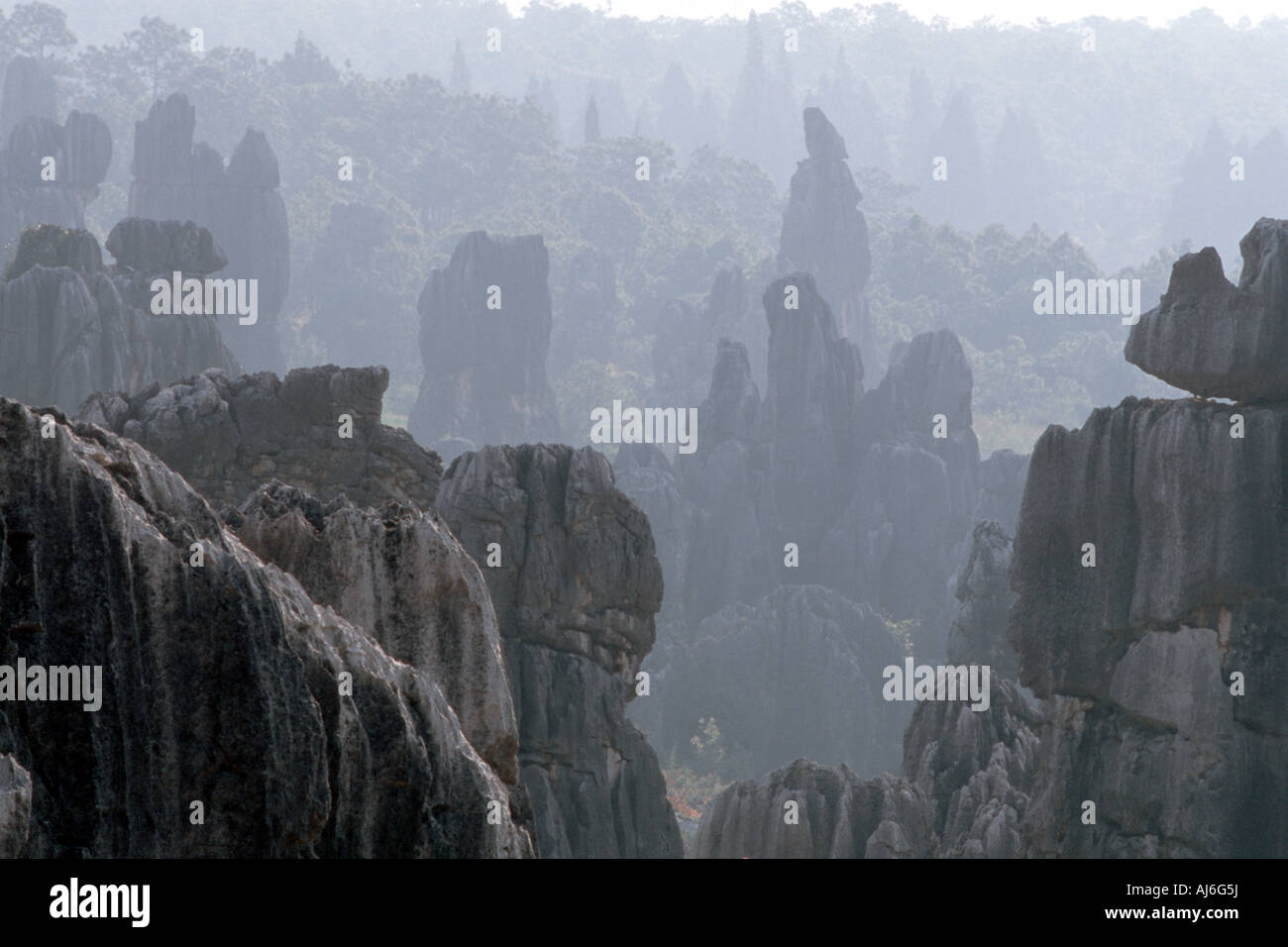 rock formations, China, Yunnan, Shilin Stone Forest Stock Photo - Alamy