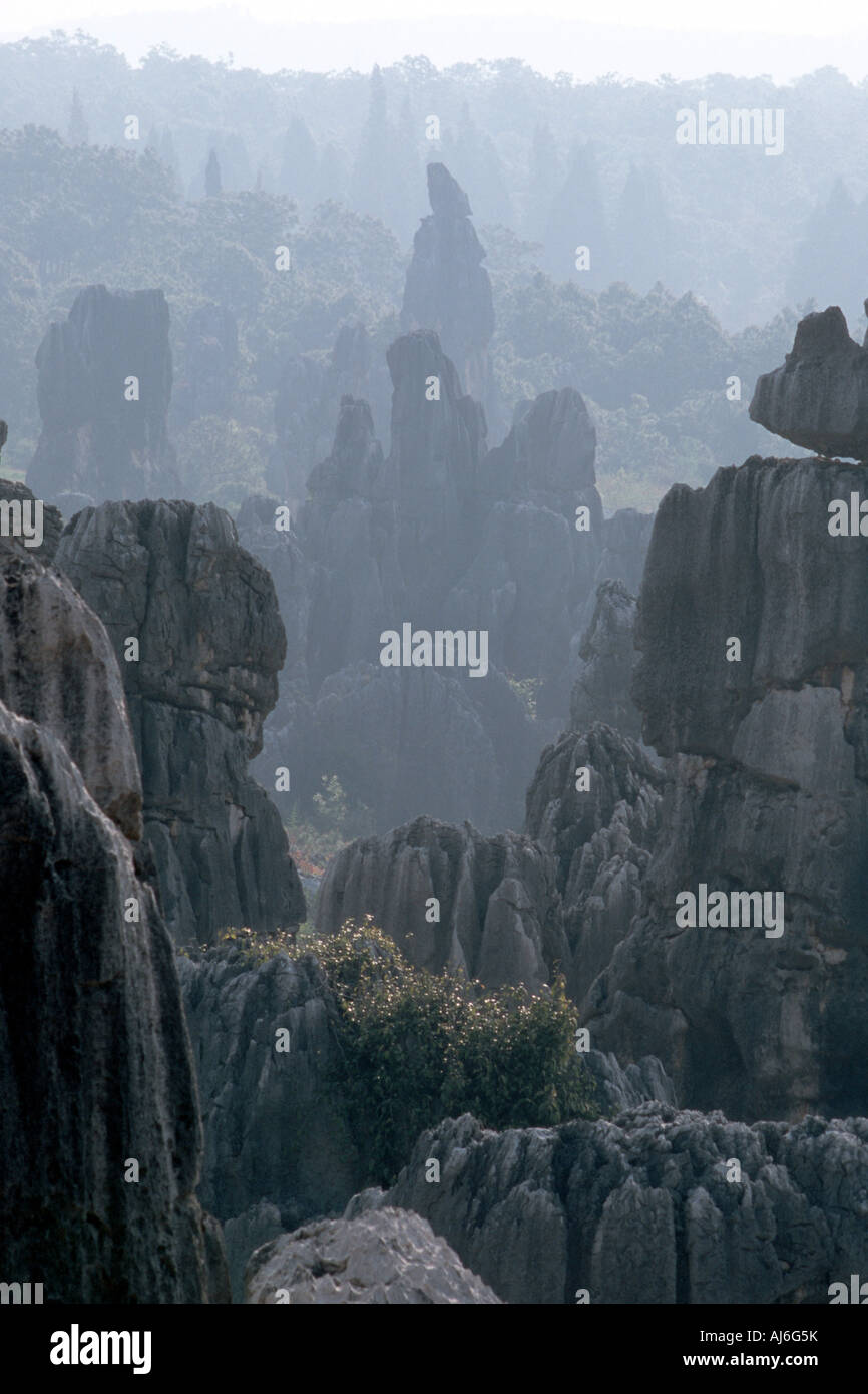 rock formations, China, Yunnan, Shilin Stone Forest Stock Photo - Alamy