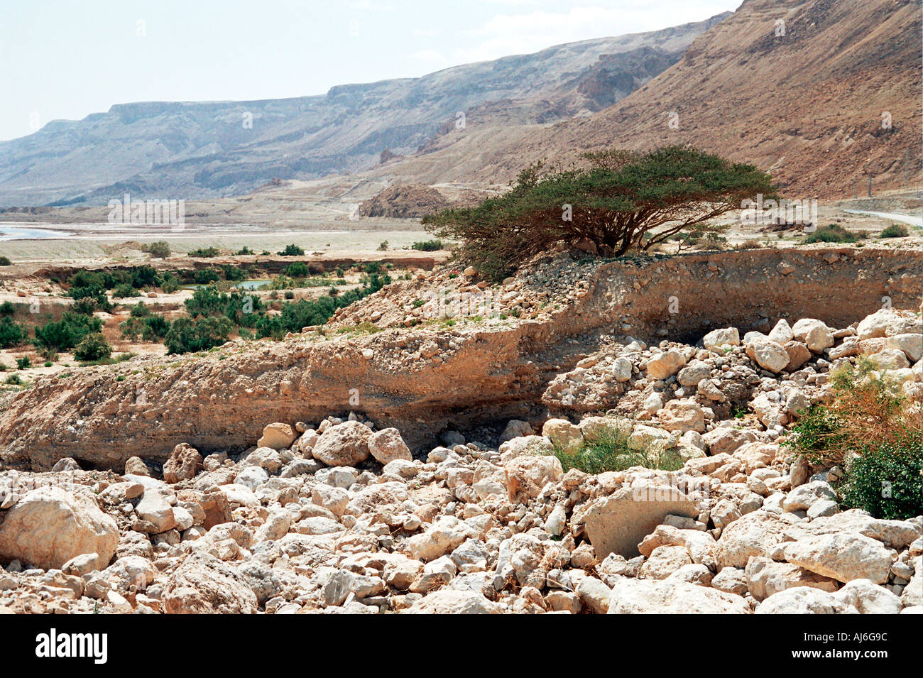 Israel; Judea Desert on the shore of the dead sea; a riverbed. The deep ...