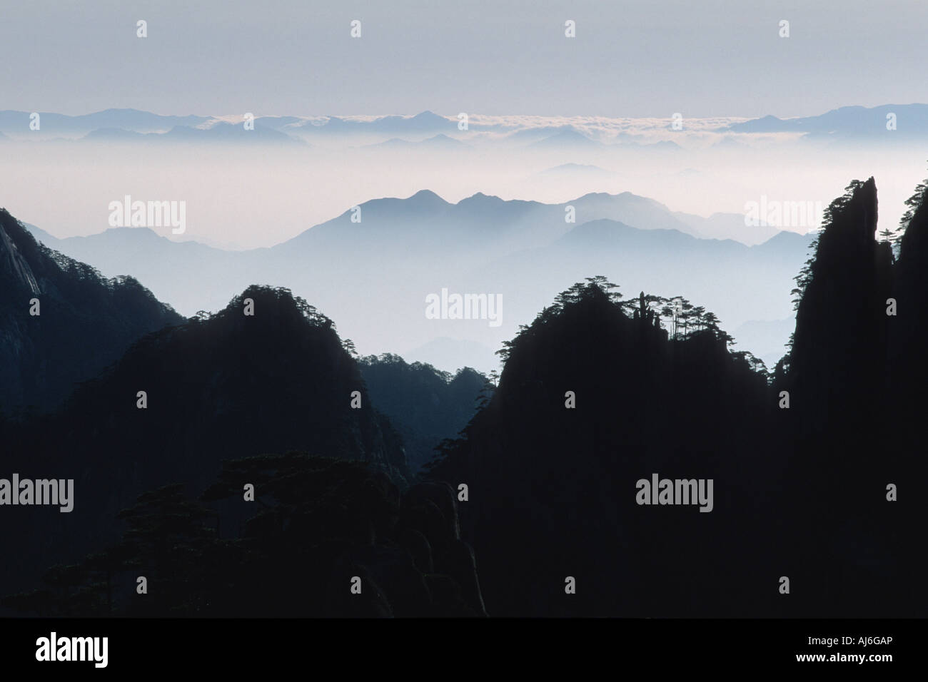 Early morning mist in the mountains, China, Anhui, Huangshan Stock ...