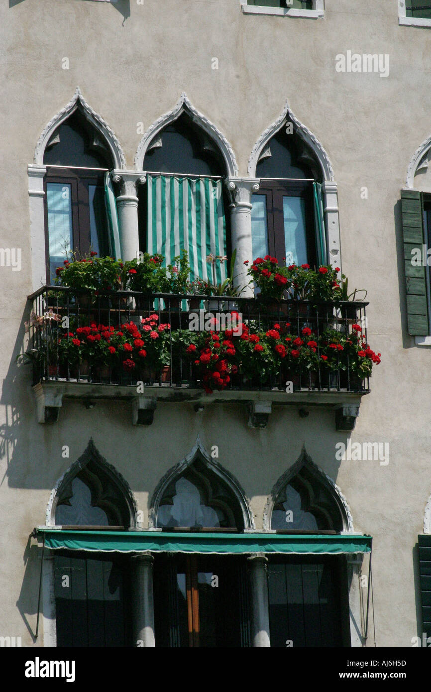 Window box of flowers in Venice Stock Photo - Alamy