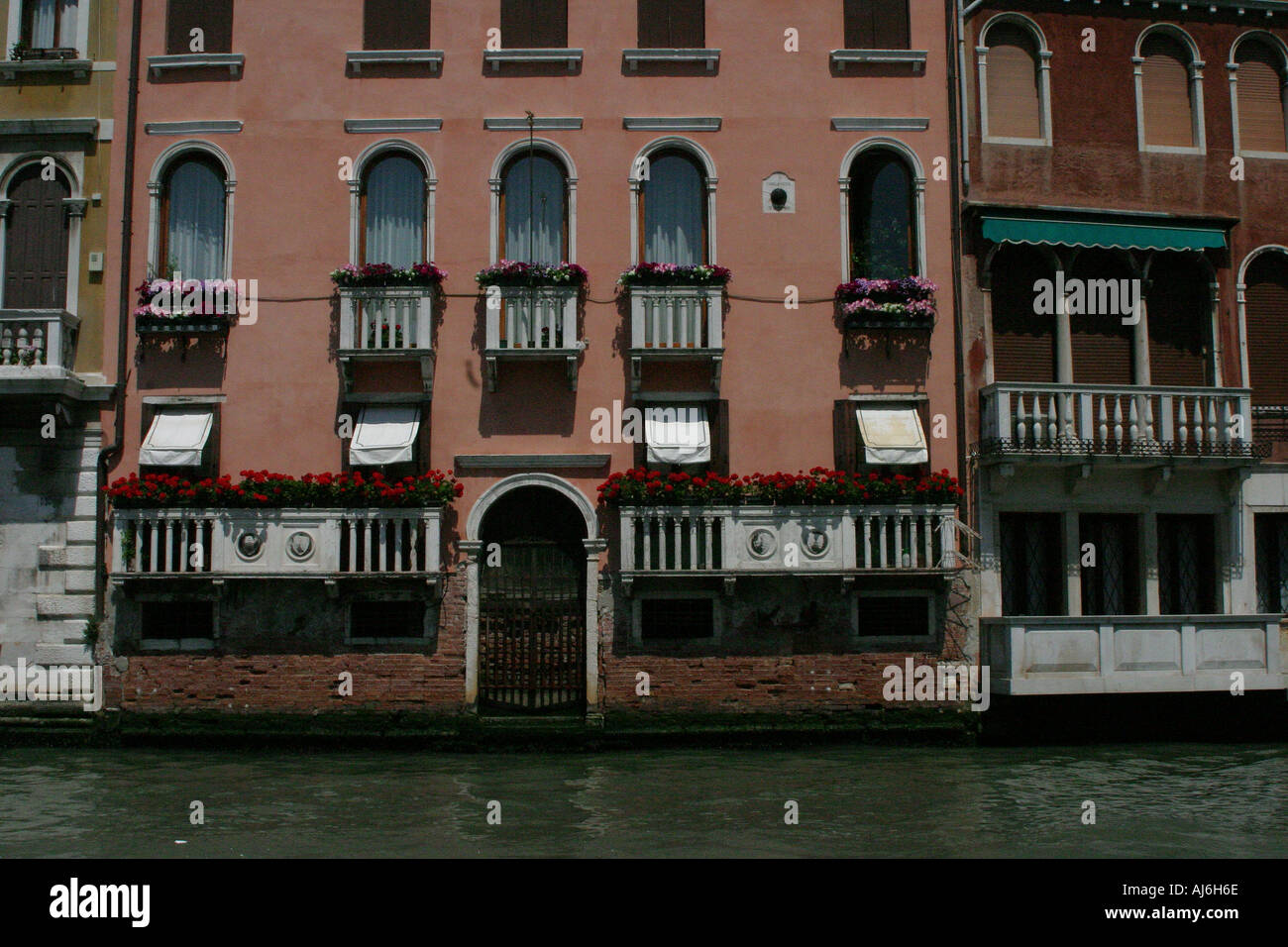 Window box of flowers in Venice Stock Photo - Alamy