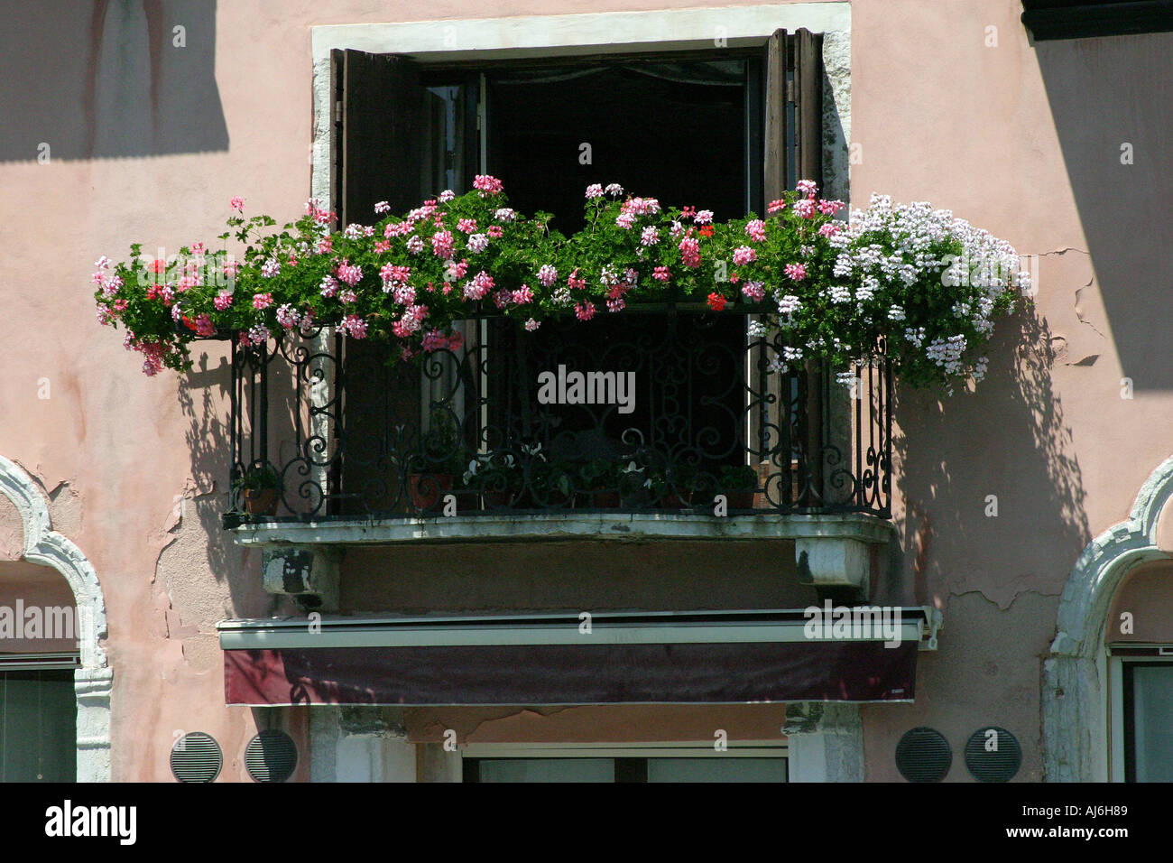 Window box of flowers in Venice Stock Photo - Alamy