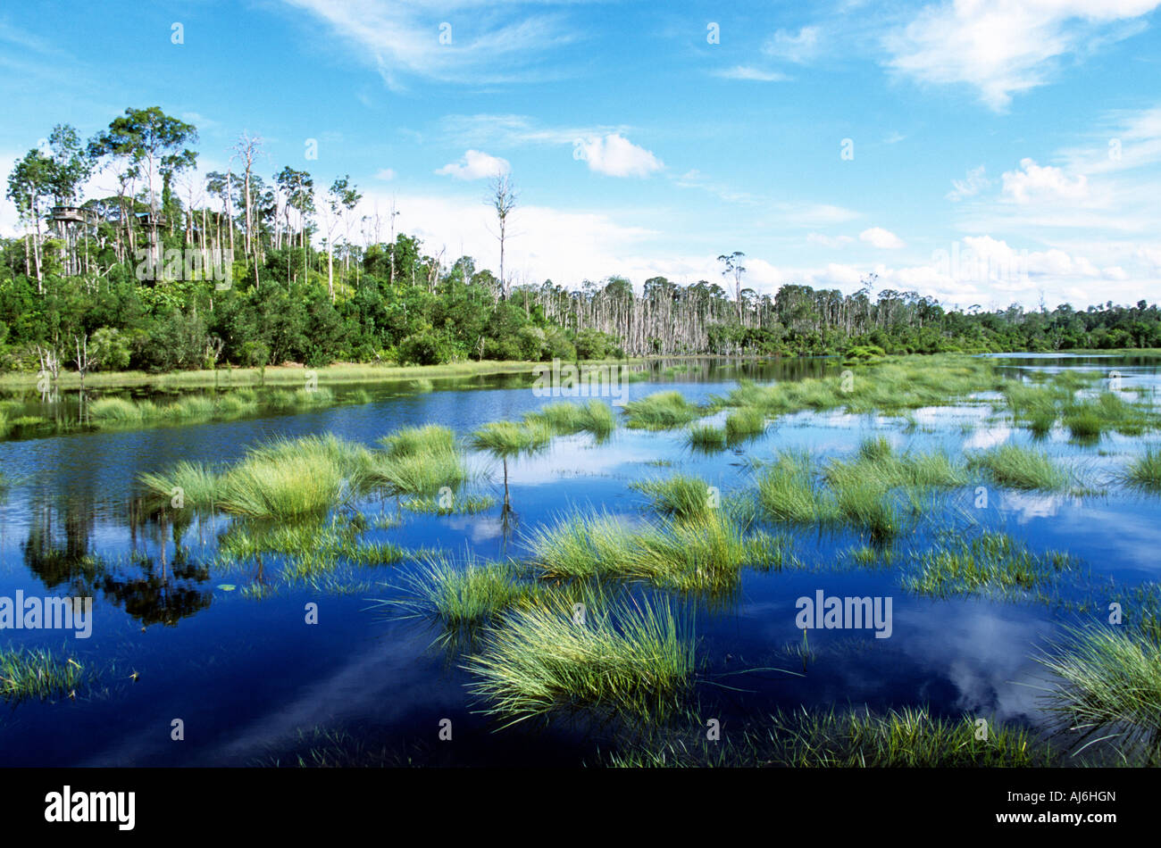 Lalak hi-res stock photography and images - Alamy