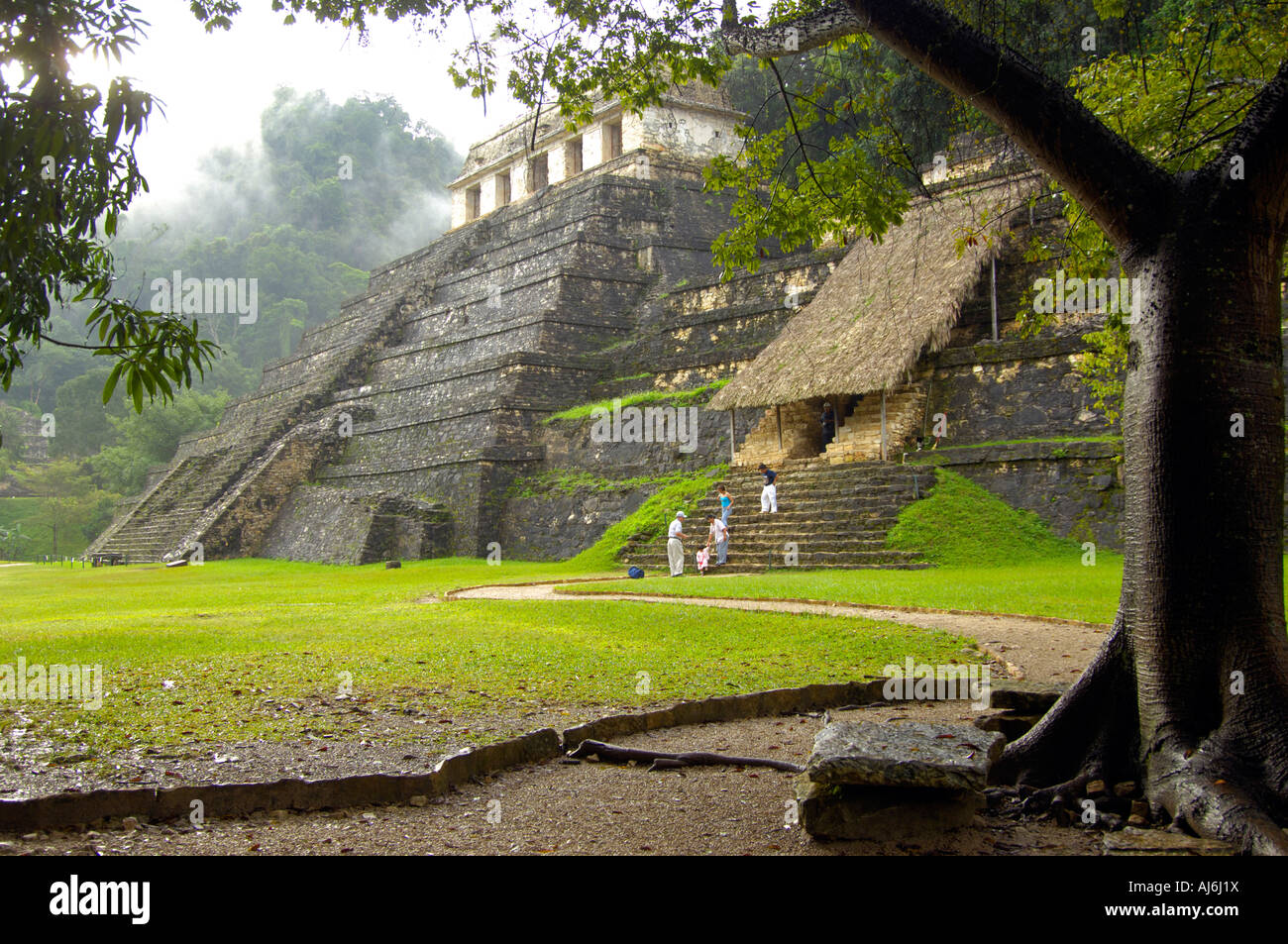 Reina roja palenque hi-res stock photography and images - Alamy