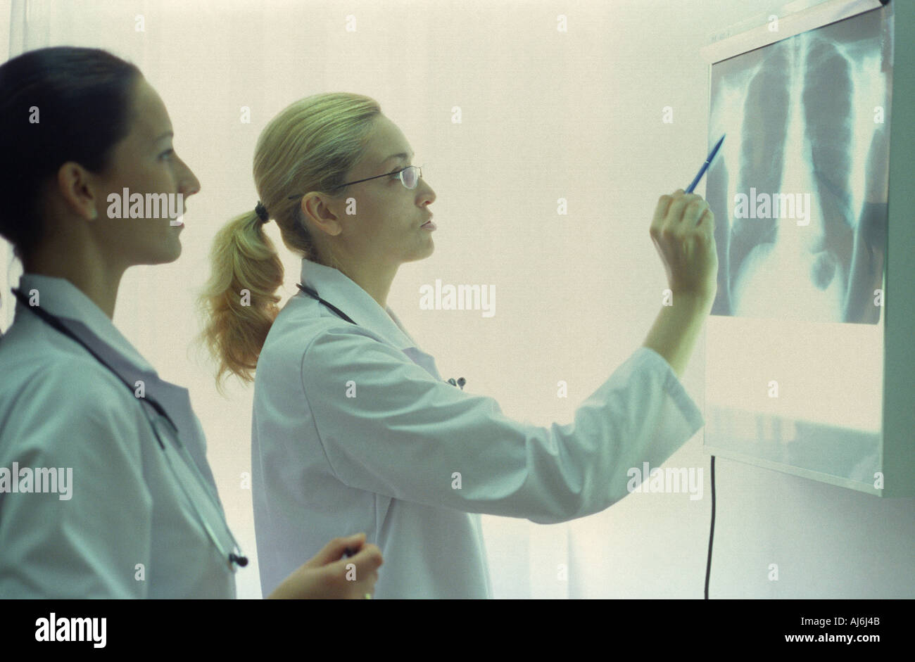 Two young doctors looking at the X-ray picture in a cabinet Stock Photo ...