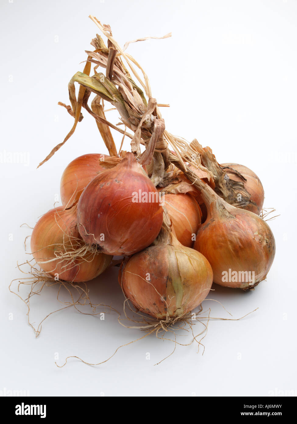 Organic onions on a white background Stock Photo - Alamy