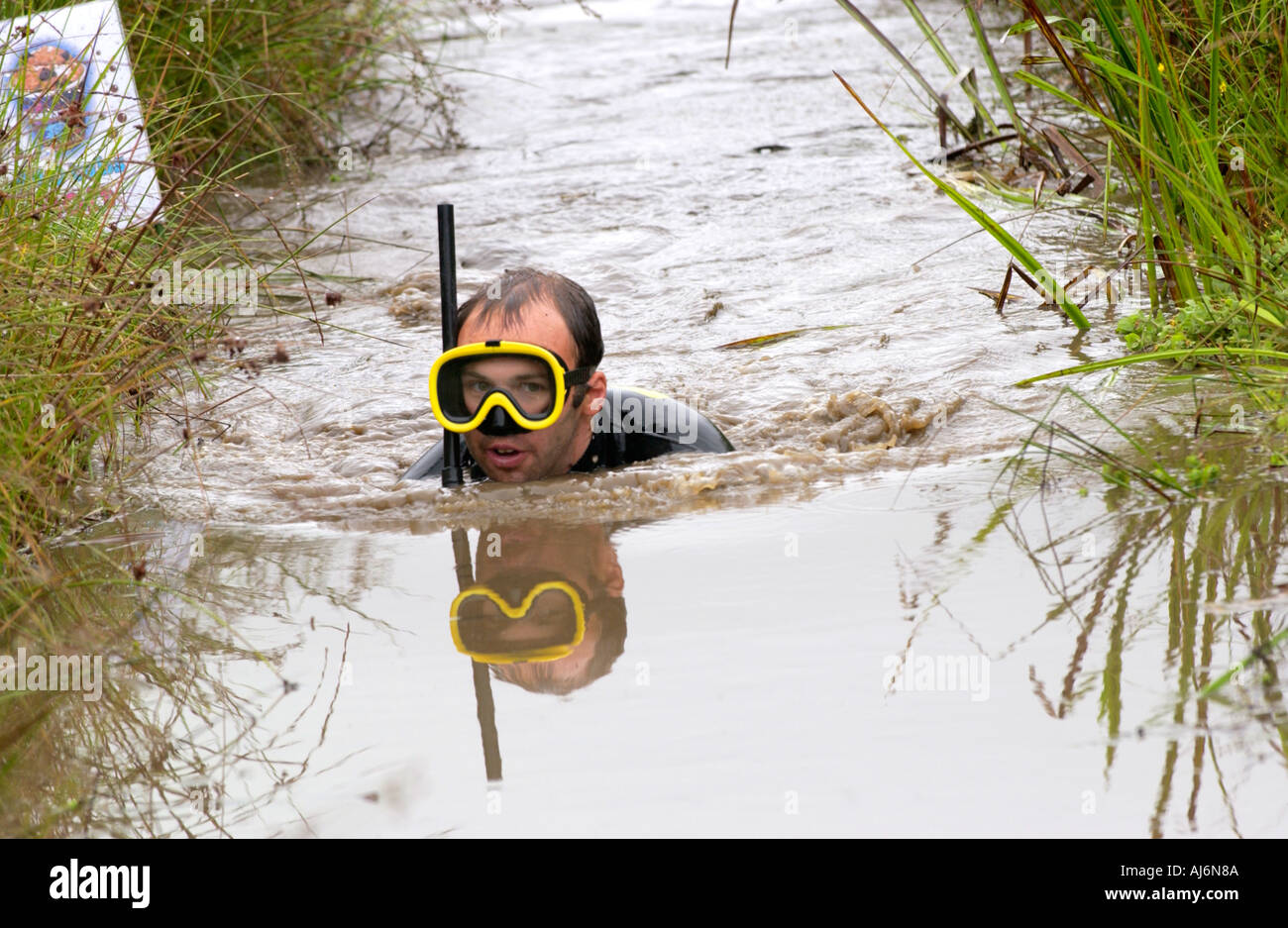 Competitor in the World Bog Snorkelling Championships at Llanwrtyd ...