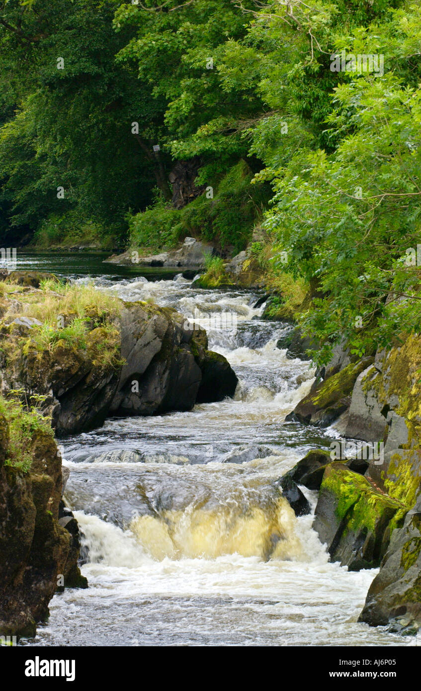 Cenarth Falls Stock Photos & Cenarth Falls Stock Images - Alamy