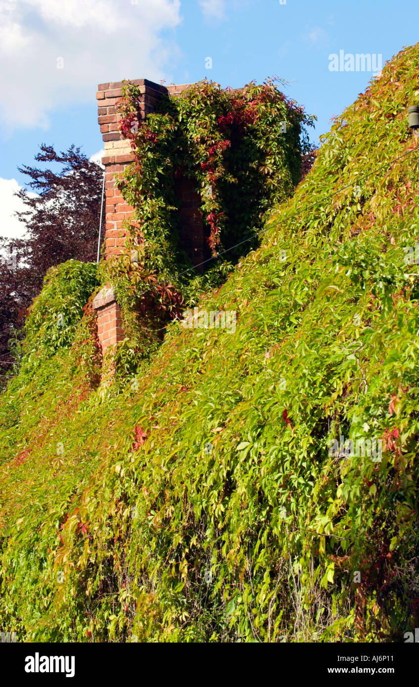 The virginia creeper trail hi-res stock photography and images - Alamy