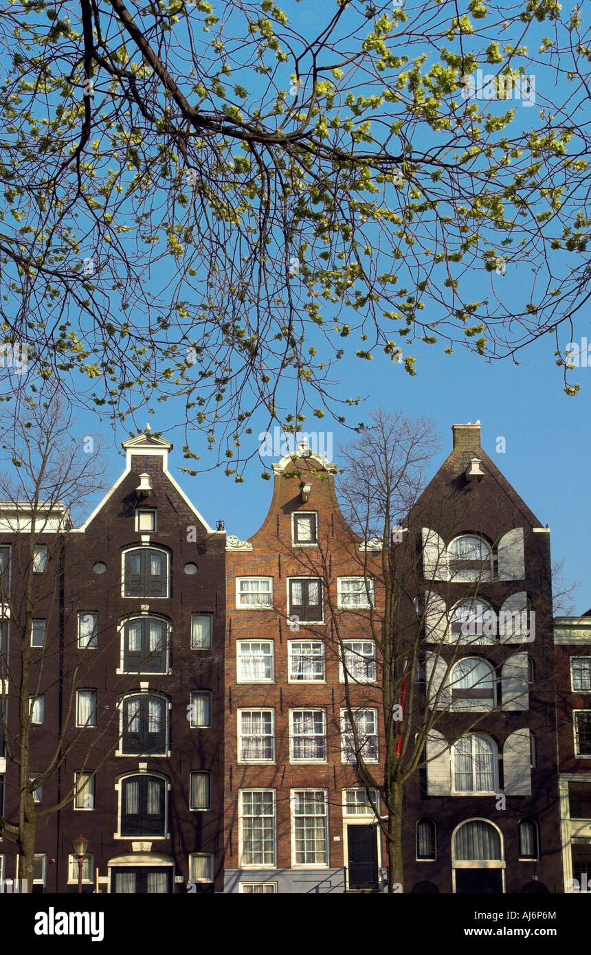 Typically Dutch narrow buildings in Amsterdam Stock Photo - Alamy