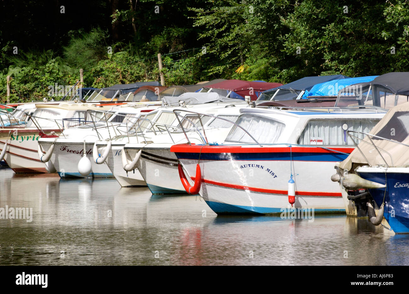 Day cruisers moored at Goytre Wharf on Monmouthshire and Brecon Canal ...